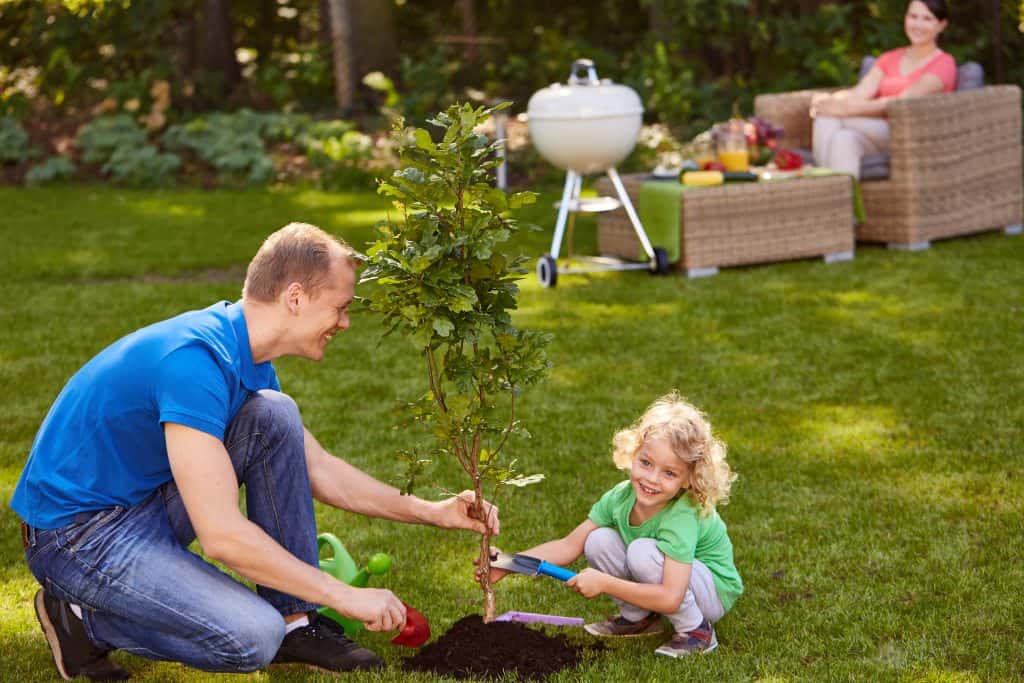 PLANT A TREE IN 2021 | Cathie's Gardening School
